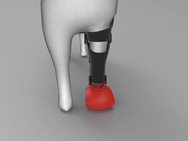 3D Printable Dog Leg Prosthesis STL File: Custom Pet Limb Support ...
