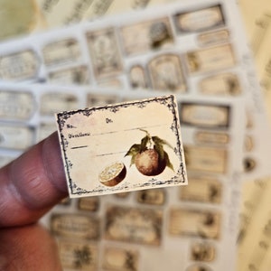 Botanical Vintage Labels Stickers Sheet Scrapbooking Card Making Art ...