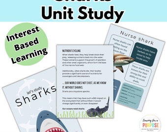 Printable Shark Unit, Shark Nature Study Pack, Learning About Sharks ...