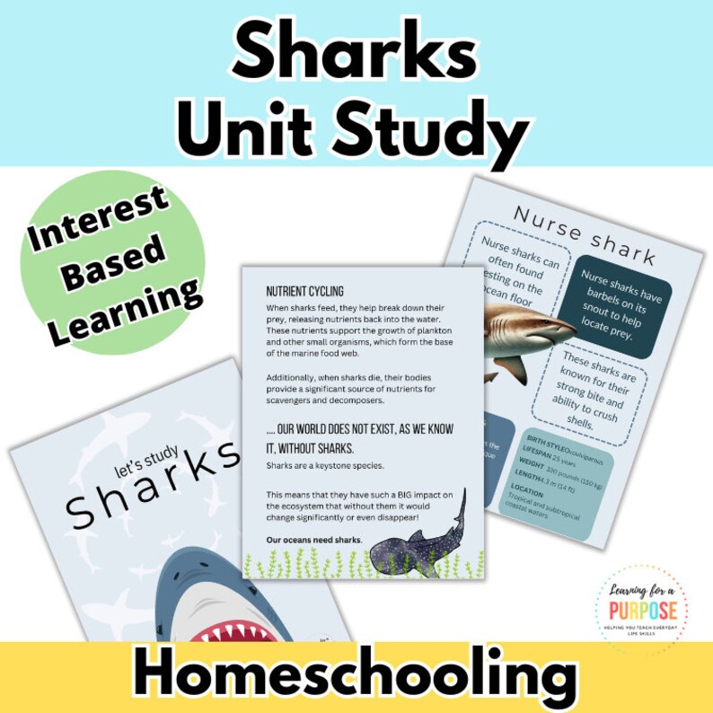 Homeschooling Shark Unit Study - Etsy