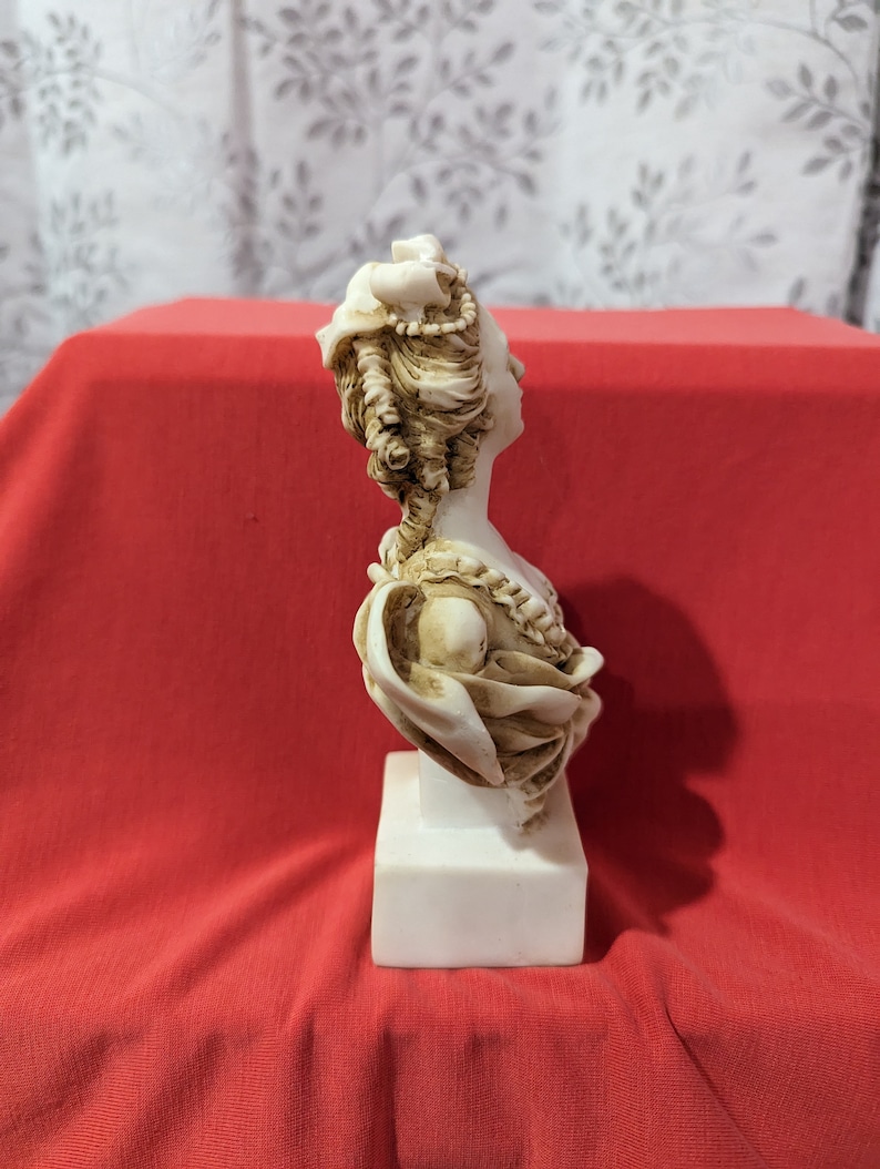 Victorian Woman Bust Decoration - Etsy