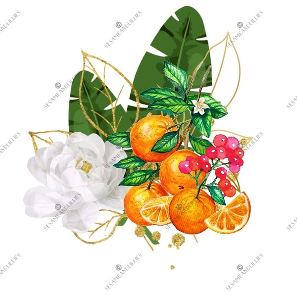 Florida Citrus - Etsy
