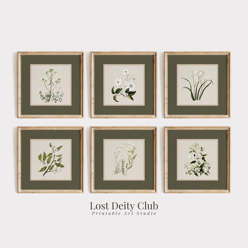 Group of Botanical Prints - Etsy