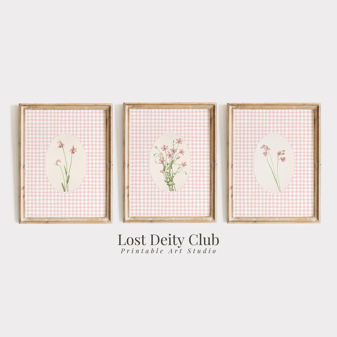 Pink Gingham Floral Art Prints Set of 3, Cottagecore Botanical Prints ...