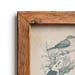 French Country Bird Prints Set: Victorian Blue Botanical Bird Decor ...