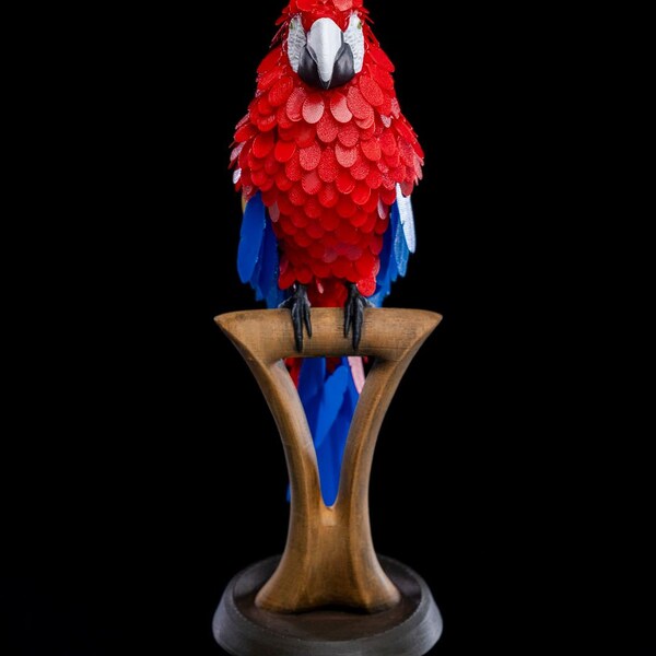 Macaw Print - Etsy
