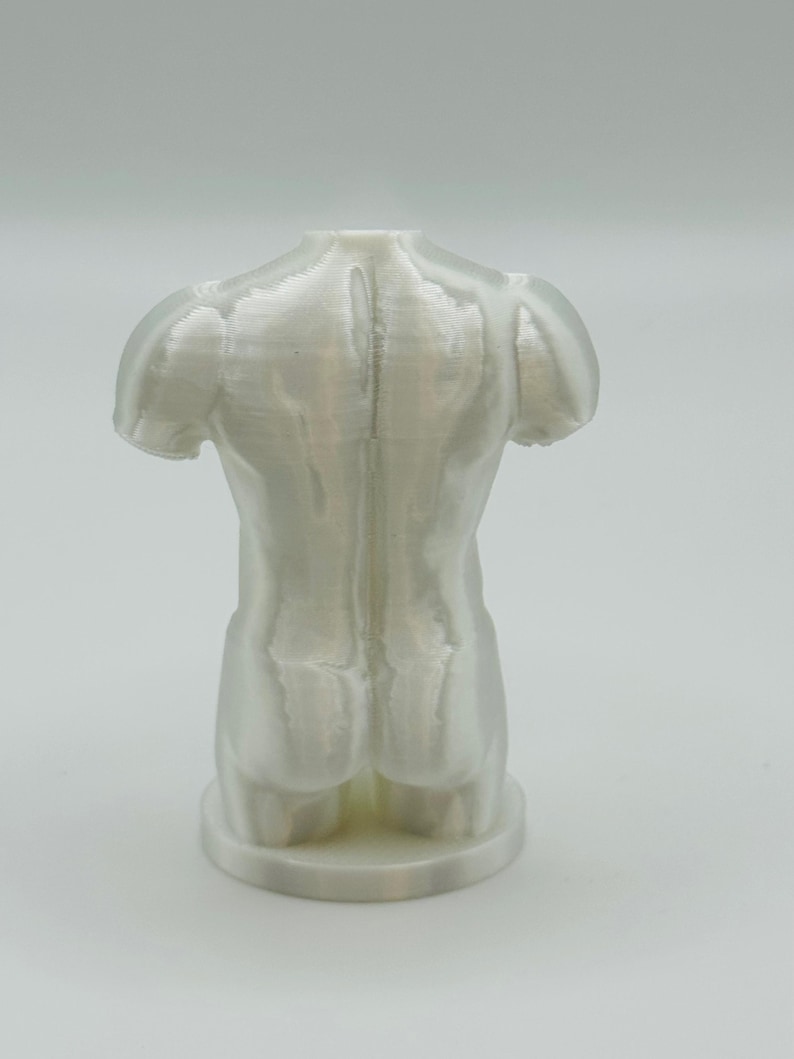 Male Torso Min-statues – Marble, Bronze, Gunmetal Black or White Finish ...