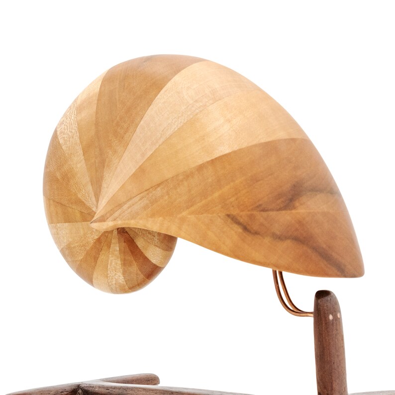 Bespoke Wooden Nautilus Shell Sculpture – Spalted Maple - Etsy