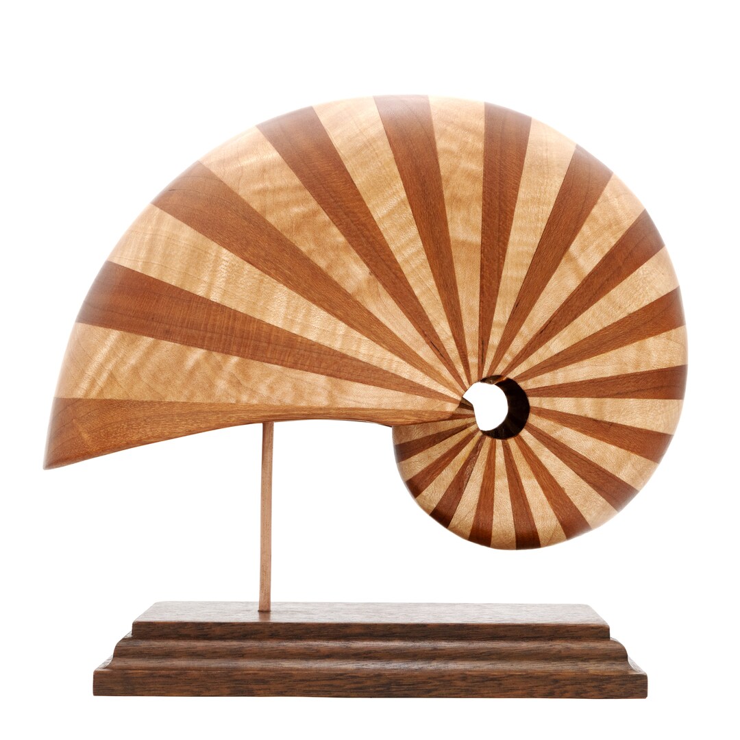 Handmade Nautilus Shell Sculpture Figured Maple and Cherry - Etsy