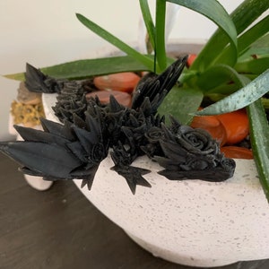 Fourth Wing Dragons Australia - Etsy Canada