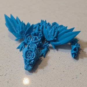 Fourth Wing Dragons Australia - Etsy Canada