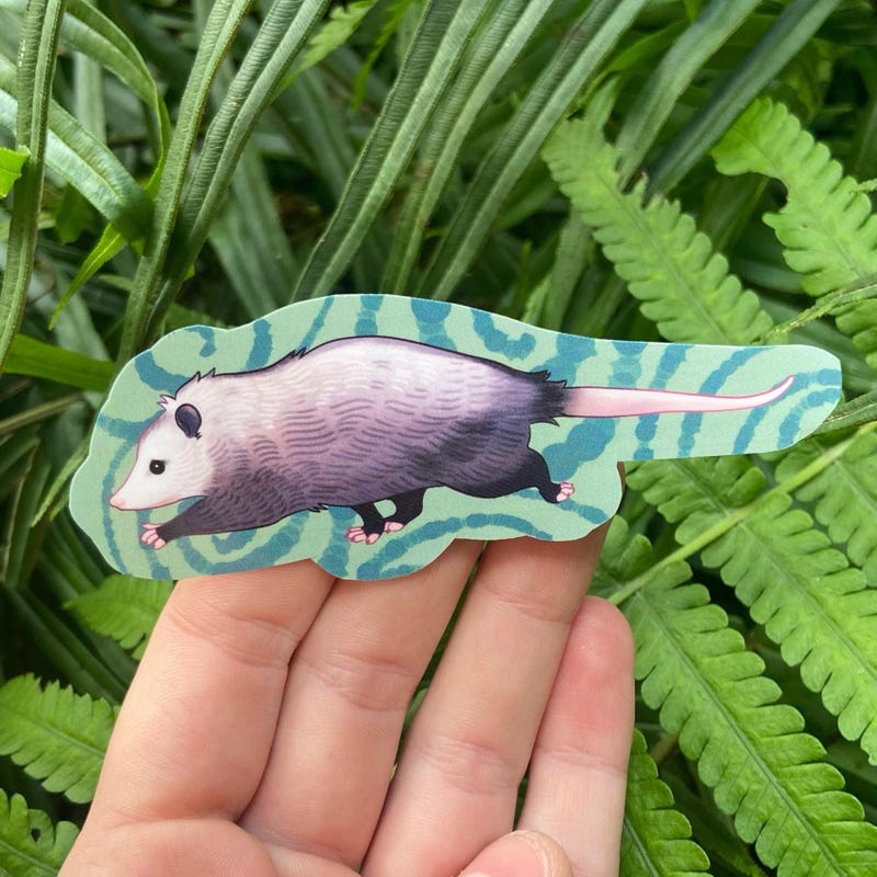 Opossum Stickers - Etsy