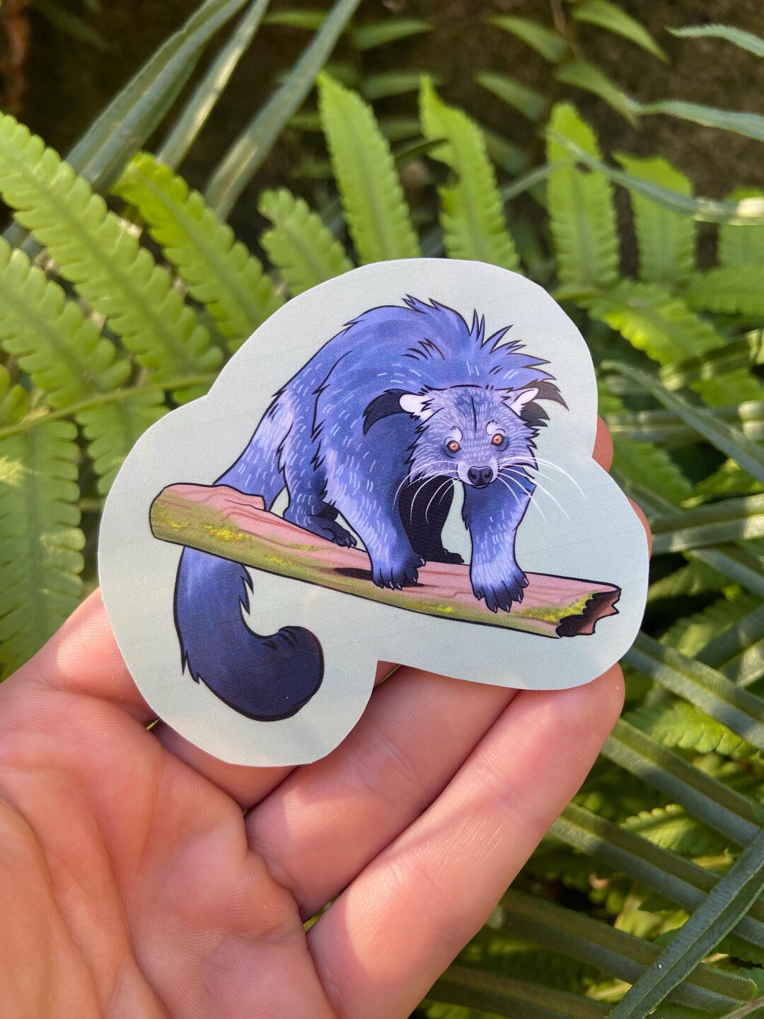 Binturong Sticker - Etsy