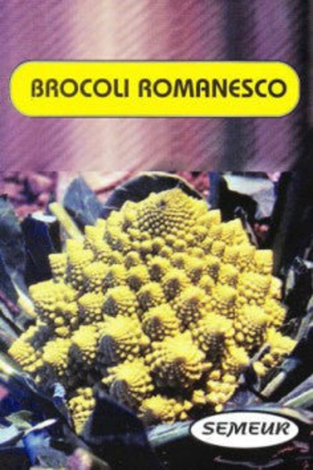 Cauliflower Romanesco 50 Seeds / ORGANIC Seeds - Etsy