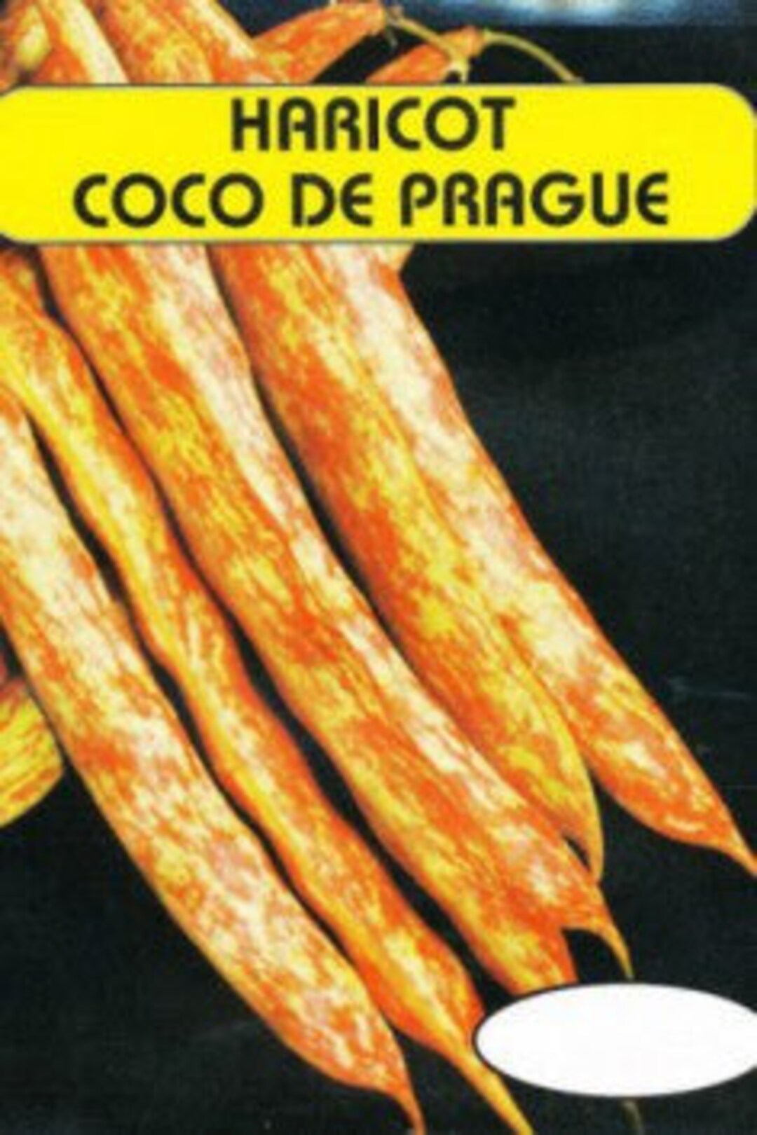 Dwarf Parchment Bean Coco De Prague 30 Seeds / ORGANIC Seeds - Etsy