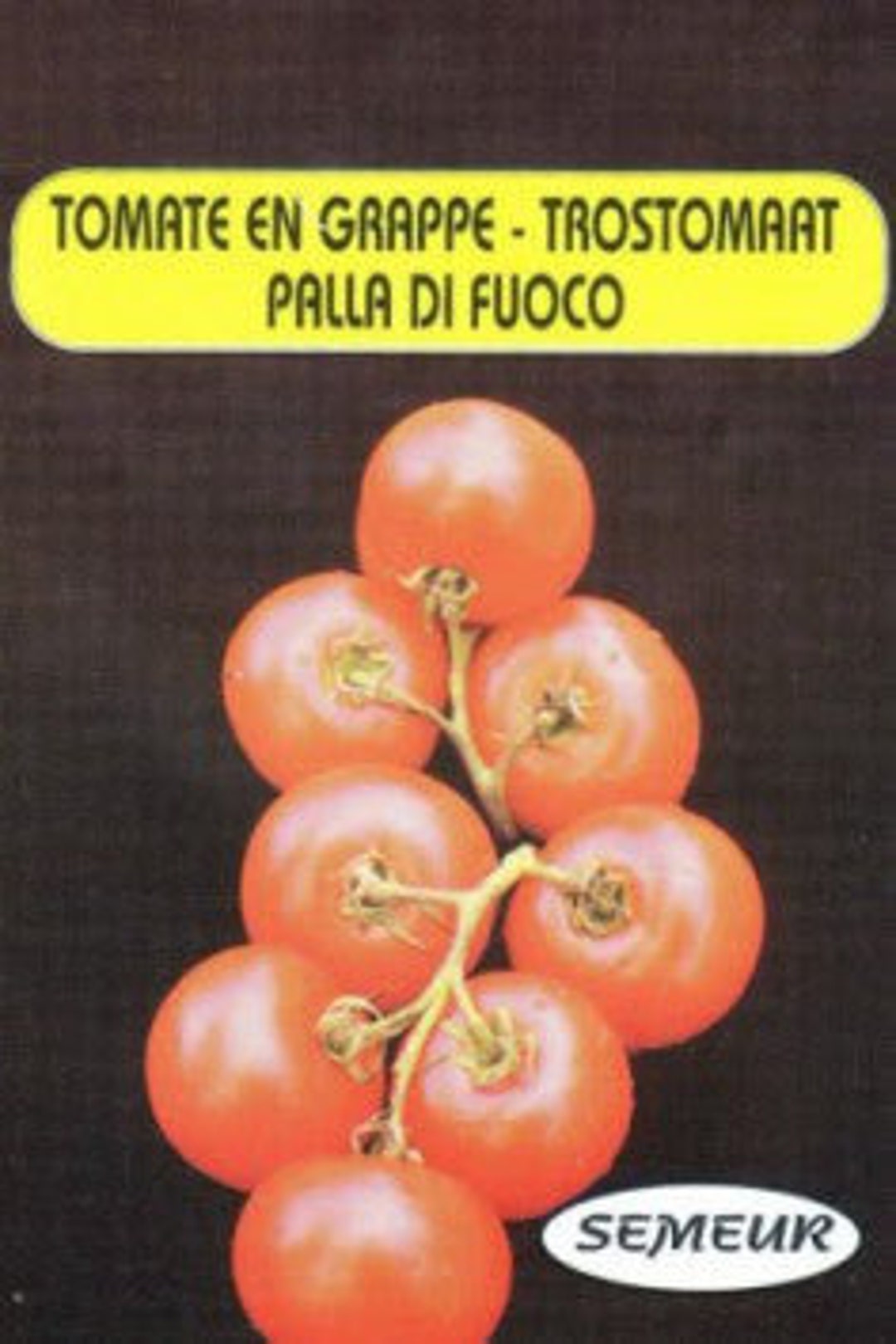 Palla Di Fuoco Tomato 50 Seeds / ORGANIC Seeds - Etsy