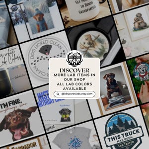 Silver Lab Wall Art Funny Labrador Zoomies Poster Print, Crazy Lab Pic ...