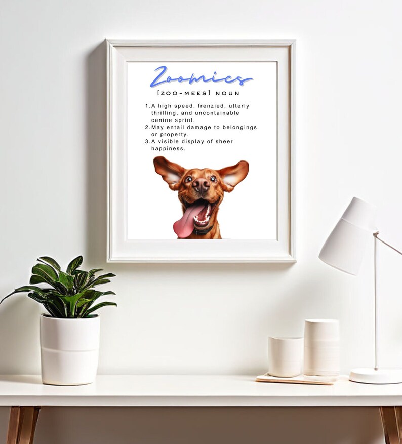 Fox Red Lab Wall Art Funny Labrador Zoomies Dictionary Definition ...