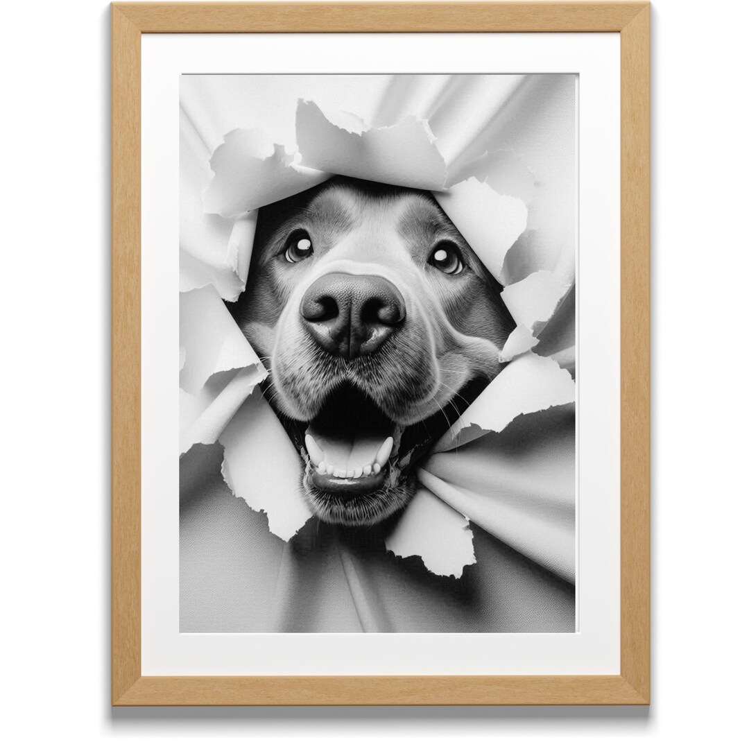 Funny Labrador Breakthrough Wall Print Black and White Poster Print ...