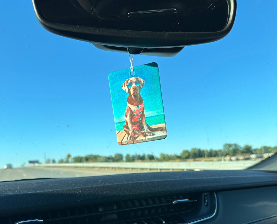 Silver Lab Car Air Freshener Pine Scent New Car Scent Black Ice Scent ...