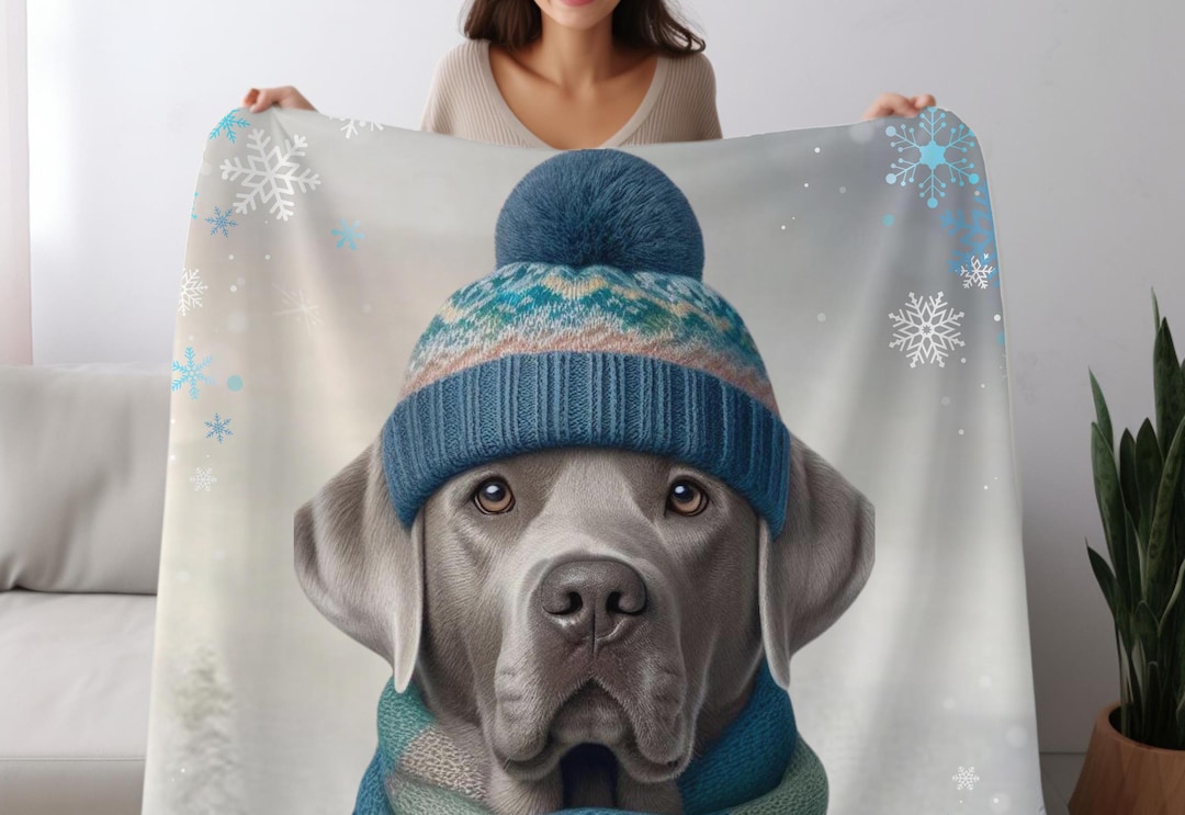 Silver Lab Winter Blanket Cozy Christmas Throw Velveteen Blanket ...