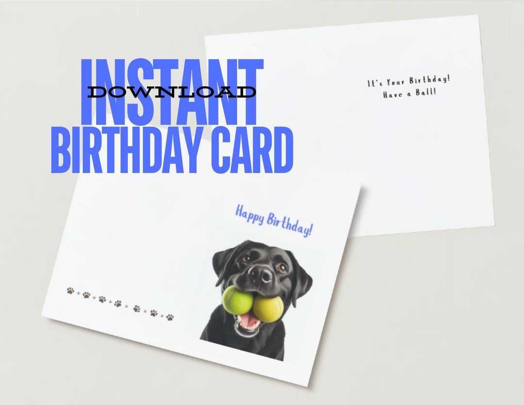 Black Lab Birthday Card for Lab Mom Gift for Lab Lover Humor Dog Balls ...