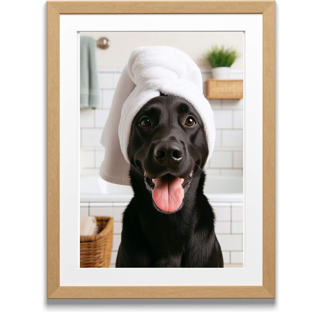 Black Lab With Towel on Head in Bathroom Towel Poster Print Black ...