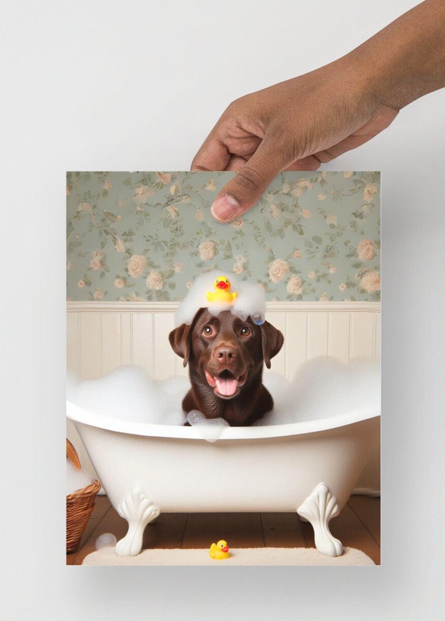 Chocolate Lab in the Tub With a Rubber Ducky Poster Print Chocolate ...