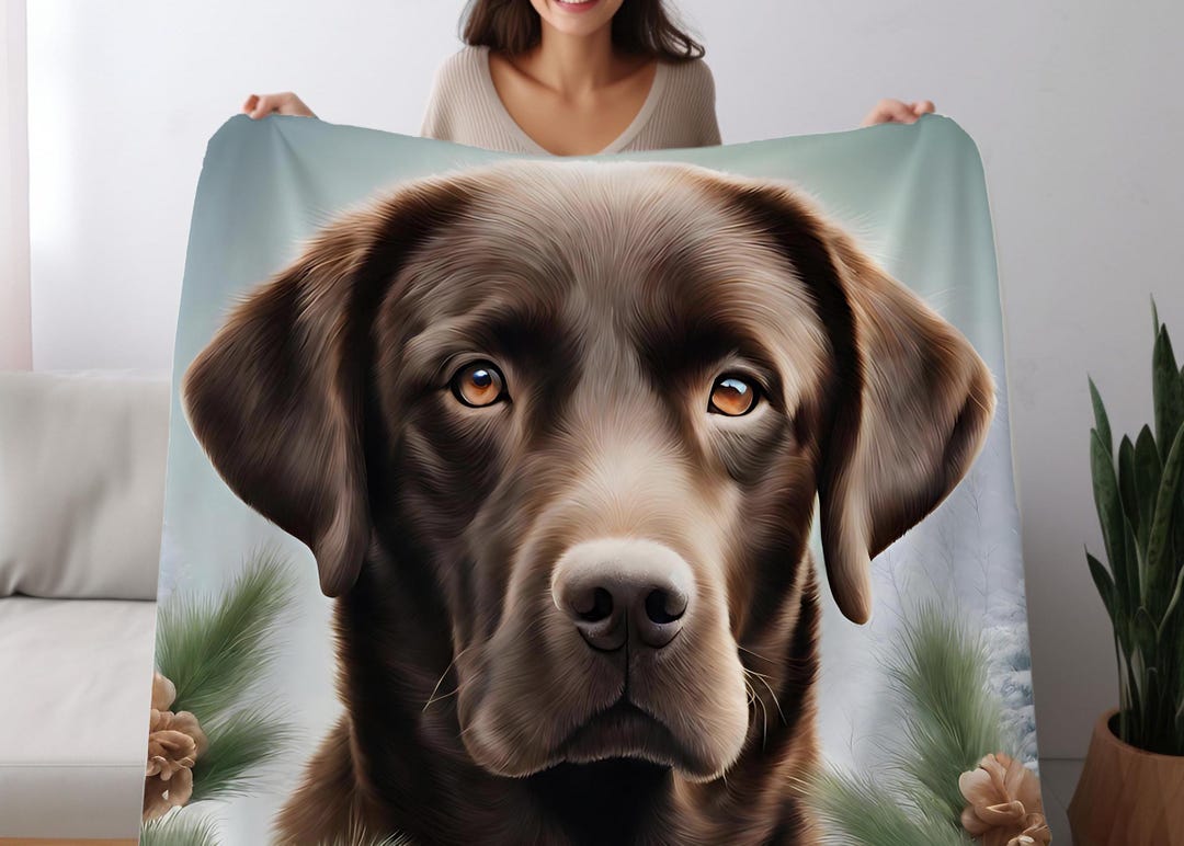 Chocolate Lab Winter Blanket Cozy Christmas Throw Velveteen Blanket ...