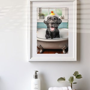 Black Lab Bathroom in Tub With a Rubber Ducky Poster Print Black ...