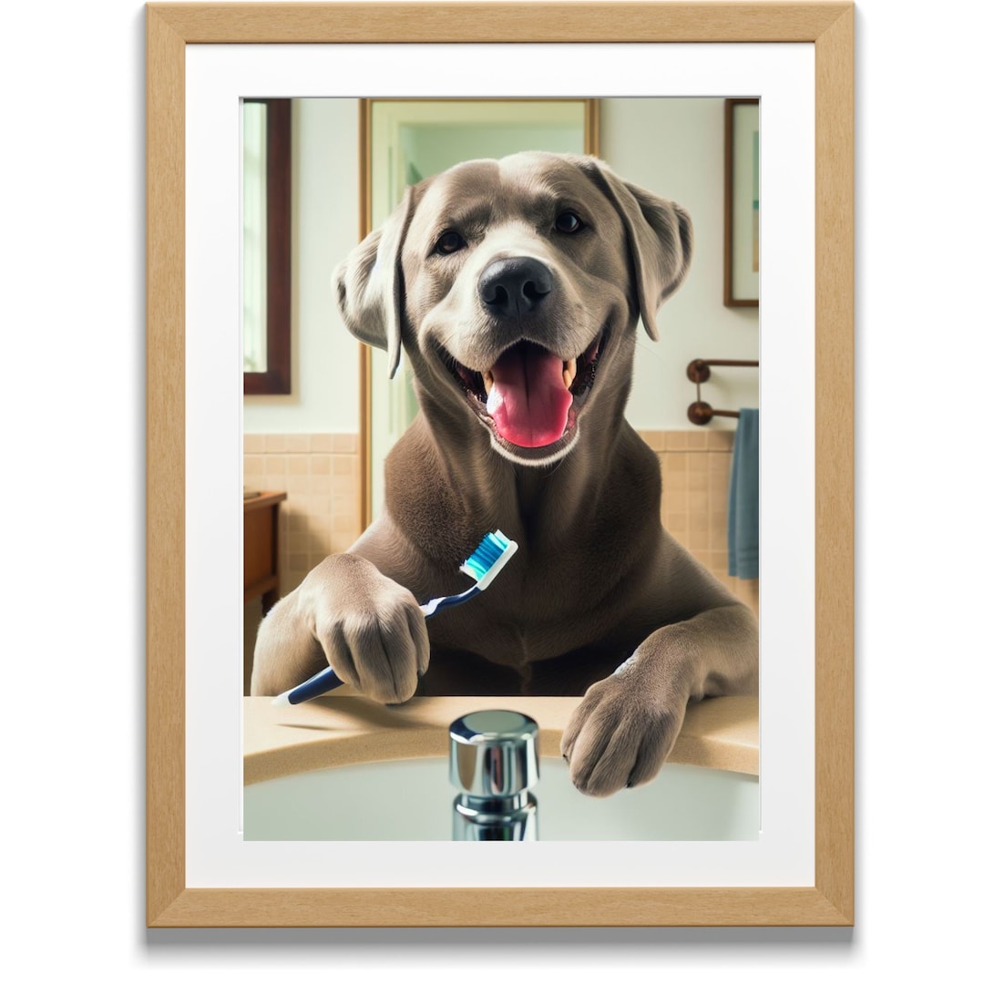 Silver Lab Brushing Teeth Poster Print Silver Labrador Retriever Bath ...