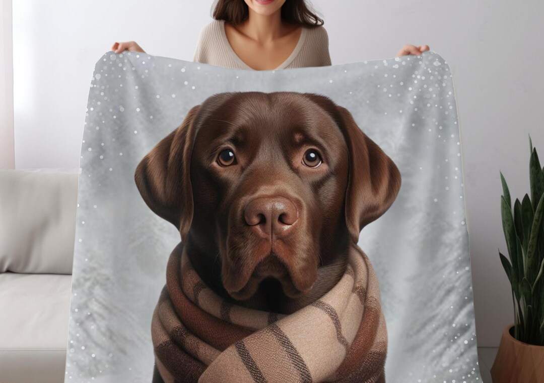 Chocolate Lab Winter Blanket Cozy Christmas Throw Velveteen Blanket ...