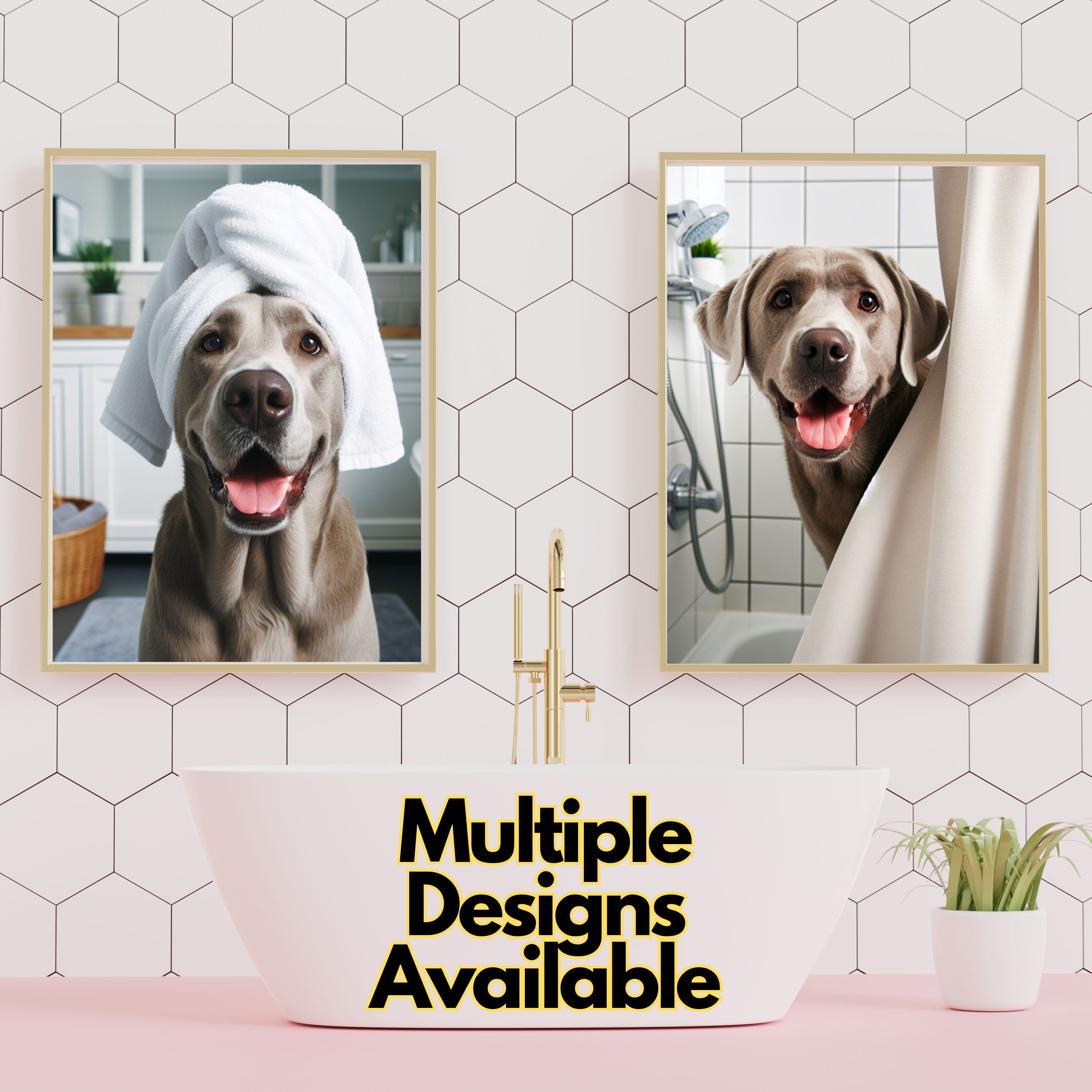 Silver Lab Bathroom in the Tub With a Rubber Ducky Poster Print Silver ...