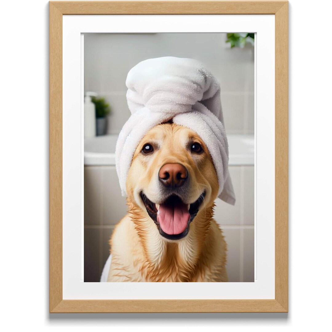Yellow Lab With Towel on Head in Bathroom Lab Towel Poster Print Yellow ...