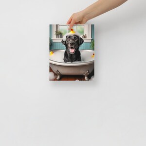 Black Lab Bathroom in Tub With a Rubber Ducky Poster Print Black ...