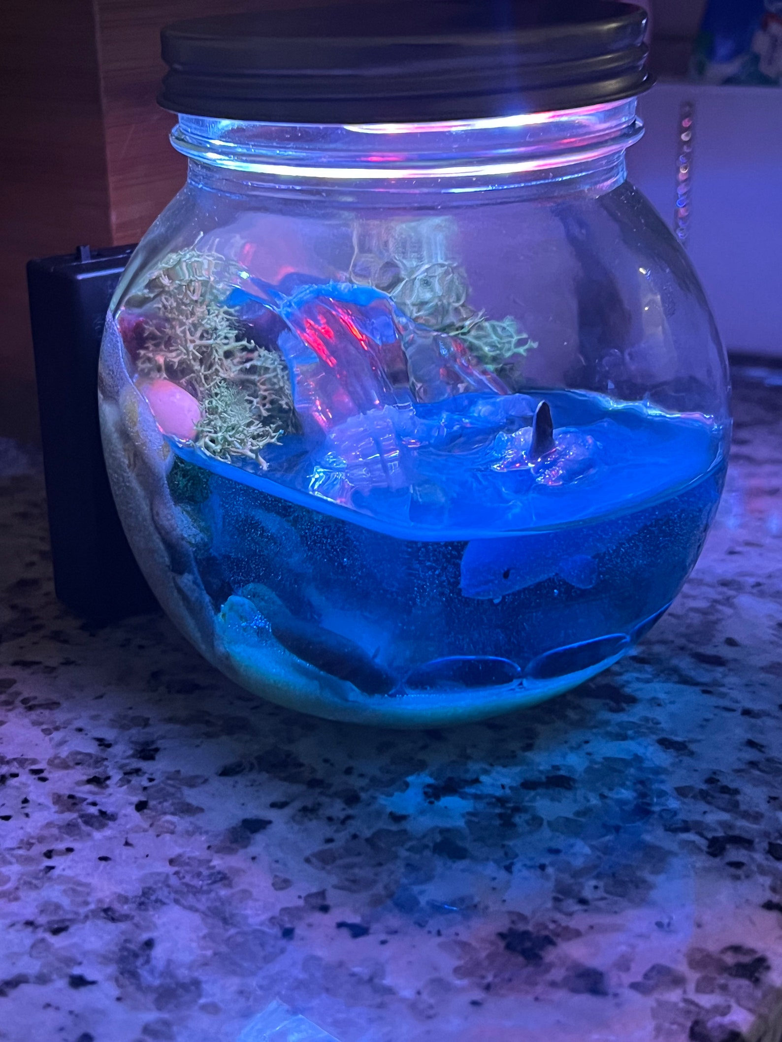 Ocean Lamp, Encapsulated Landscape Lamp or Mini Terrarium. - Etsy
