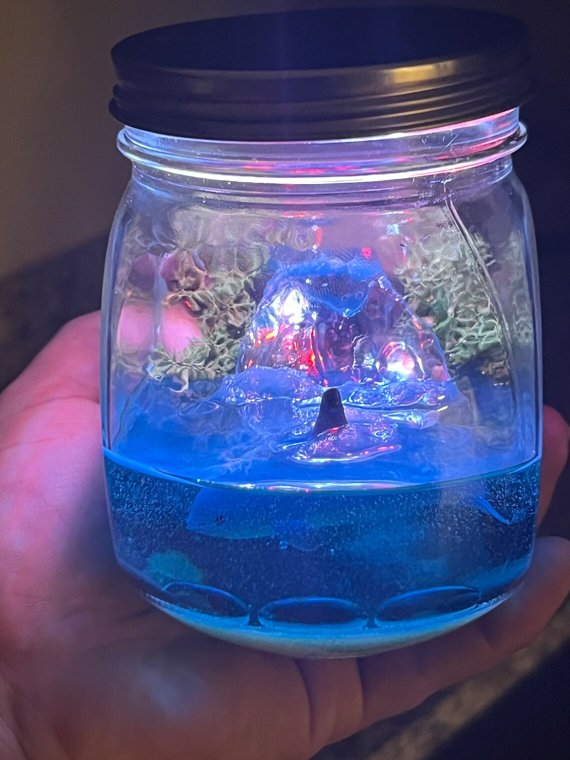 Ocean Lamp, Encapsulated Landscape Lamp or Mini Terrarium. - Etsy