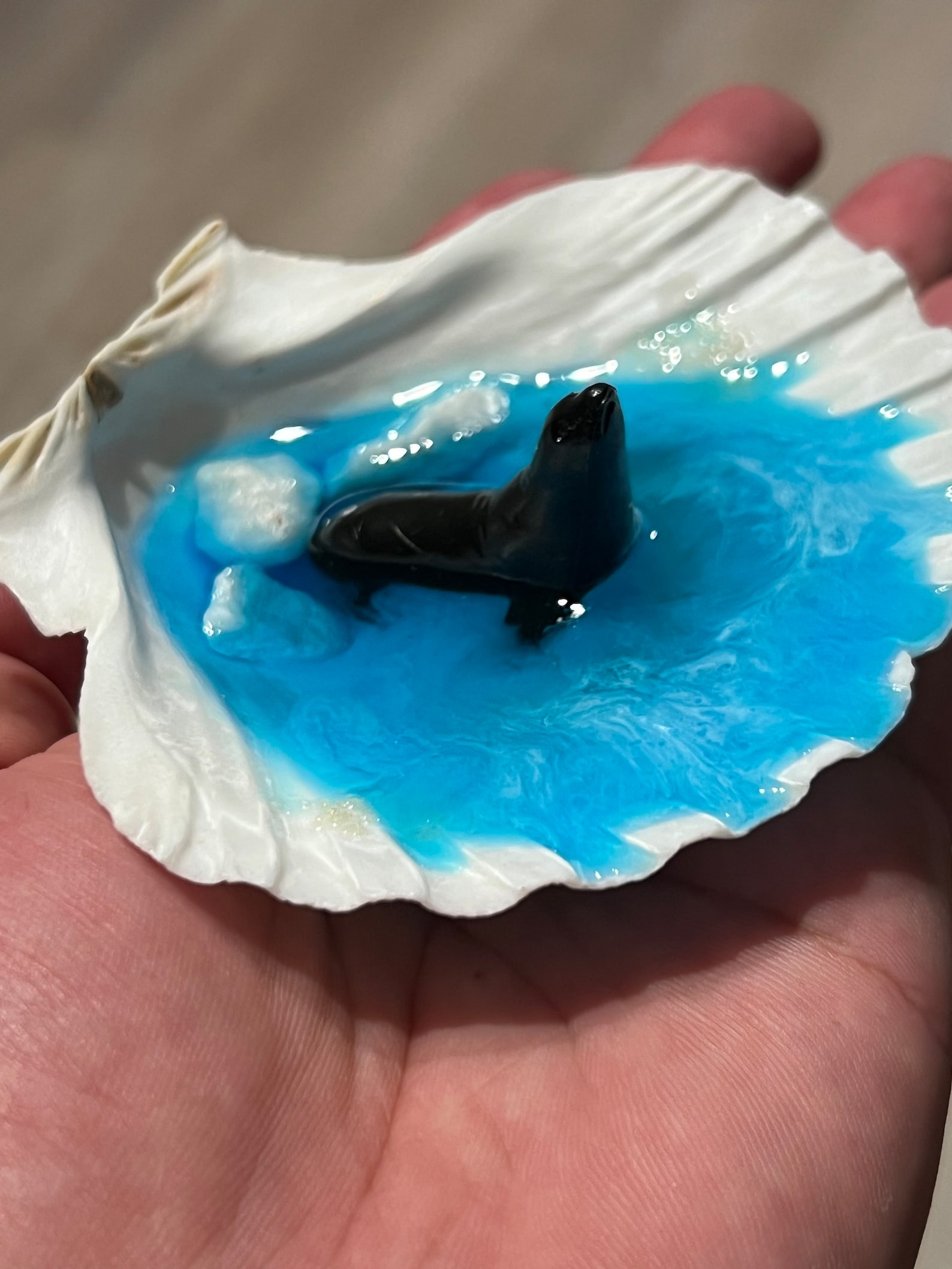 Large Real Sea Shell With Black Seal Coming Out of the Ocean - Etsy