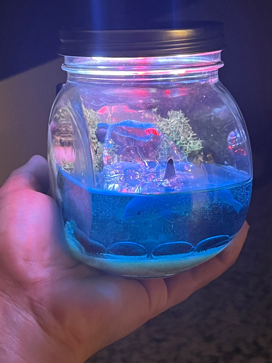 Ocean Lamp, Encapsulated Landscape Lamp or Mini Terrarium. - Etsy