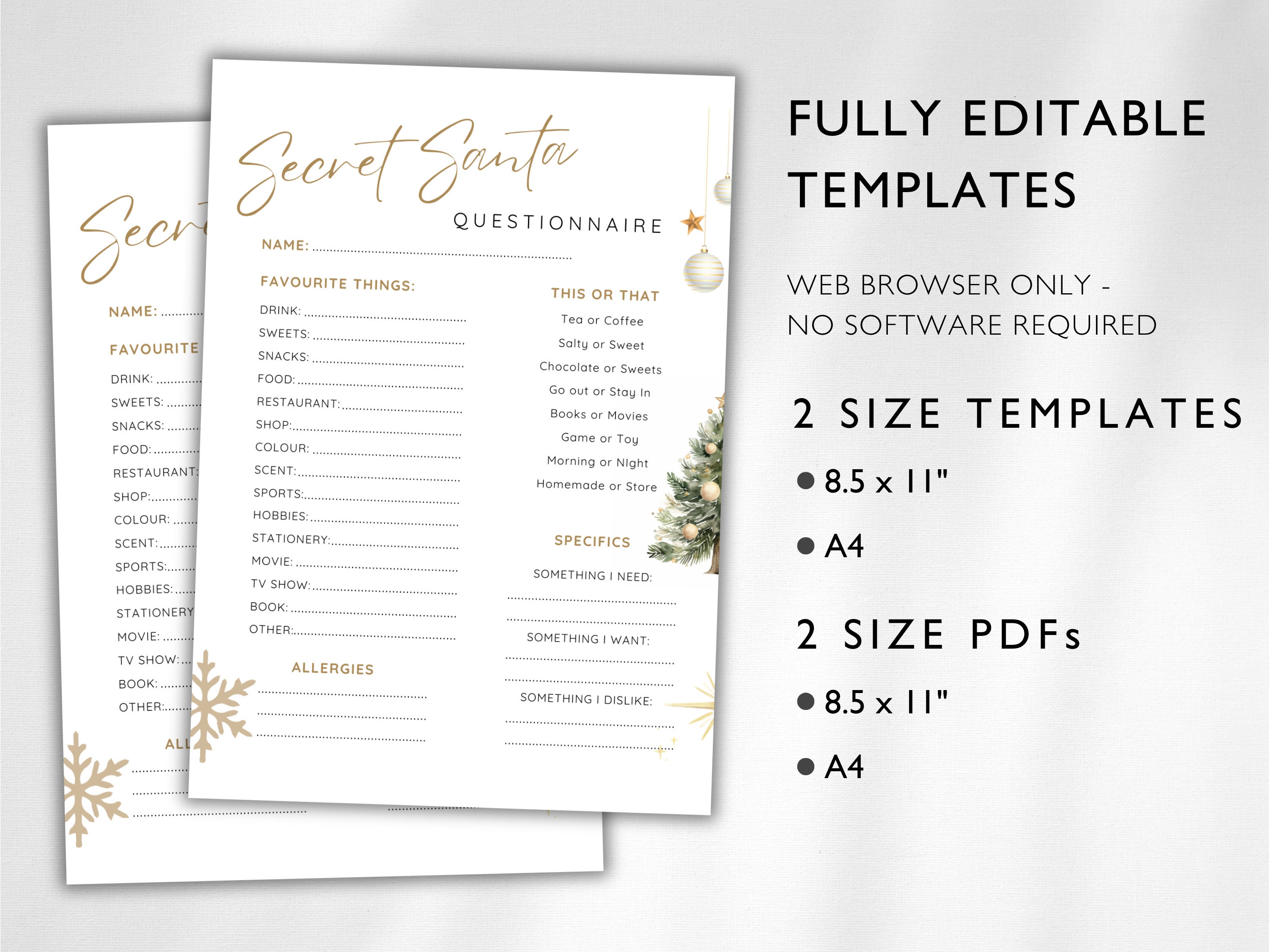 Printable Secret Santa Gift Exchange Questionnaire Office - Etsy