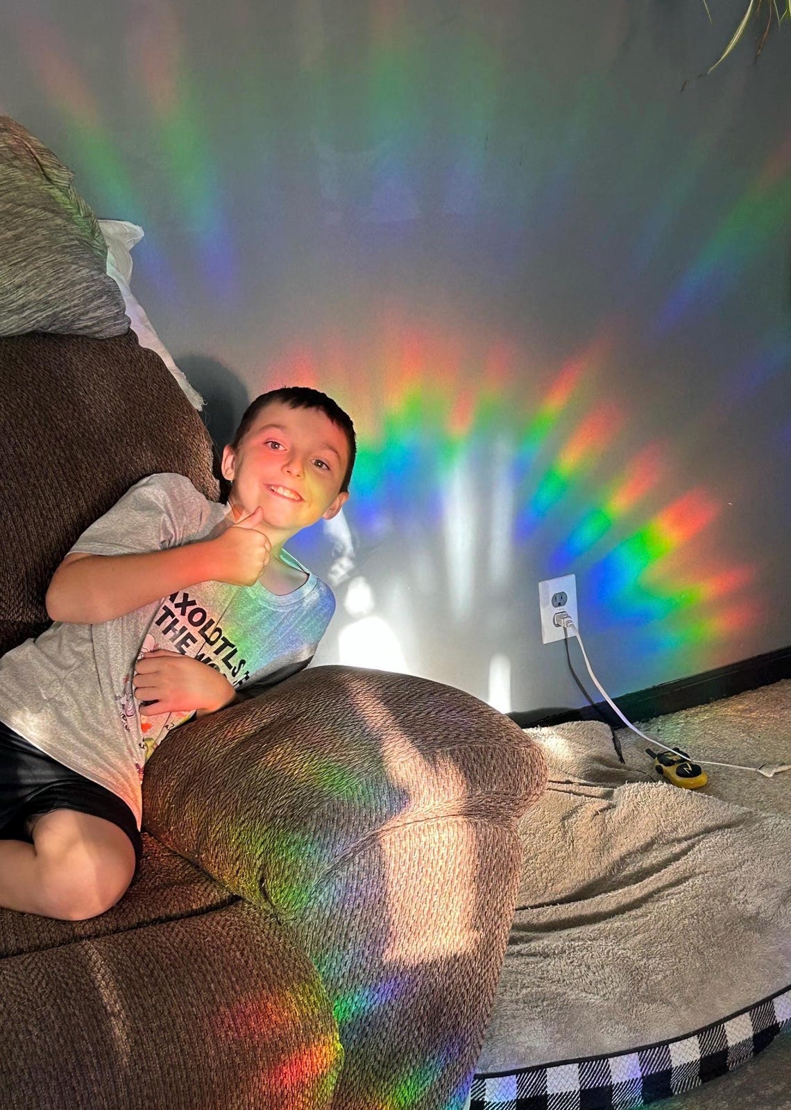 Frog Suncatchers Window Clings, - Etsy