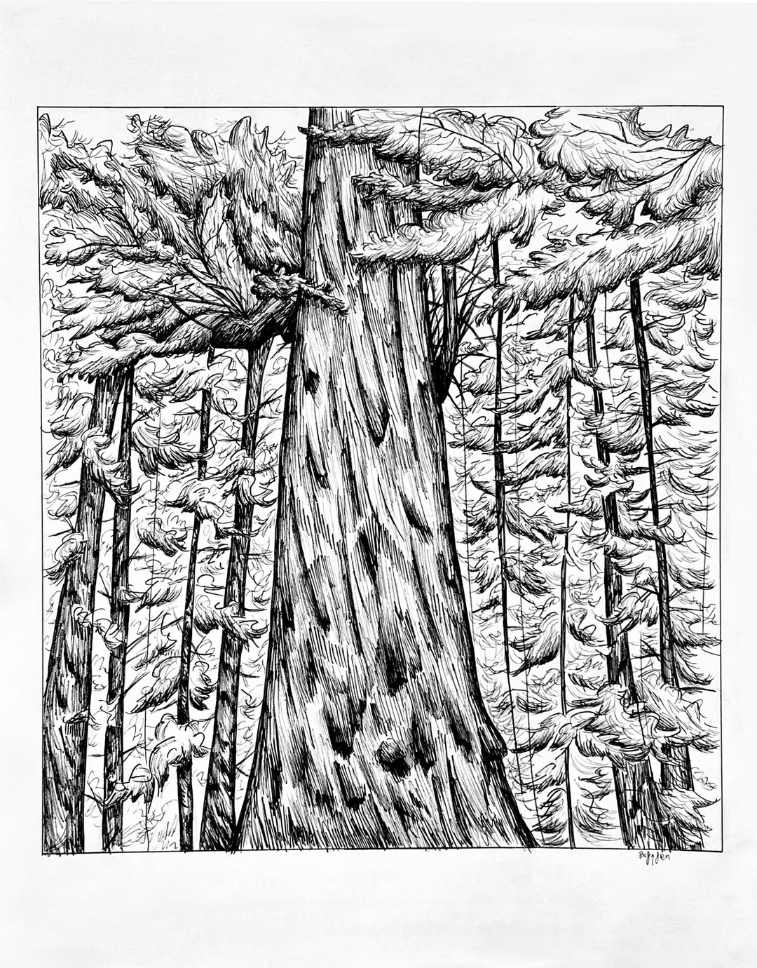 Pen Drawing big Tree - Etsy
