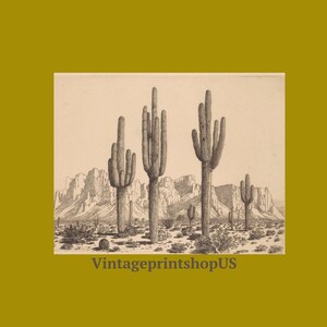 Antique Desert Landscape Print: Vintage Western Americana (digital ...