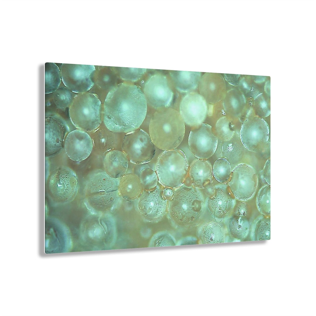 Kinetic Sand Under the Microscope Acrylic Print - Etsy