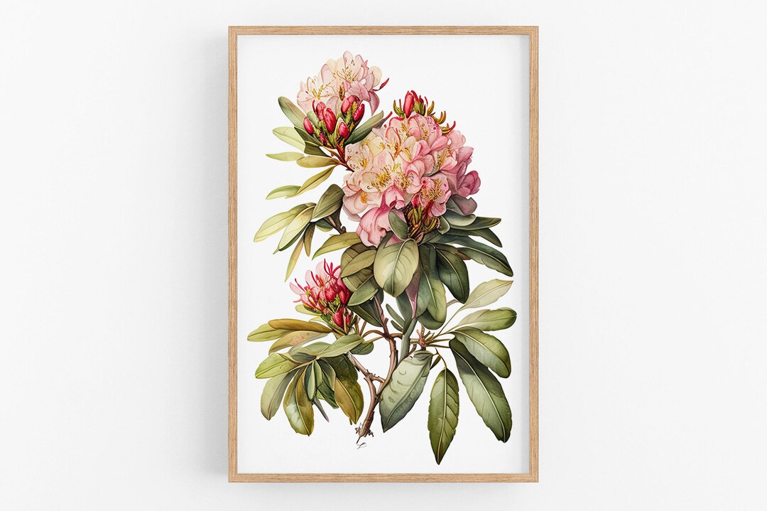 Rhododendron Flower Print Wall Art No.69 | Rhododendron Art Print ...