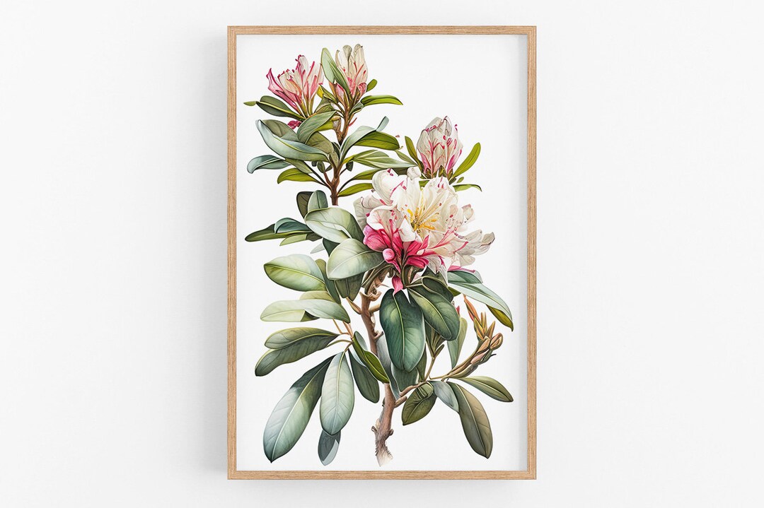 Rhododendron Flower Print Wall Art No.68 | Rhododendron Art Print ...