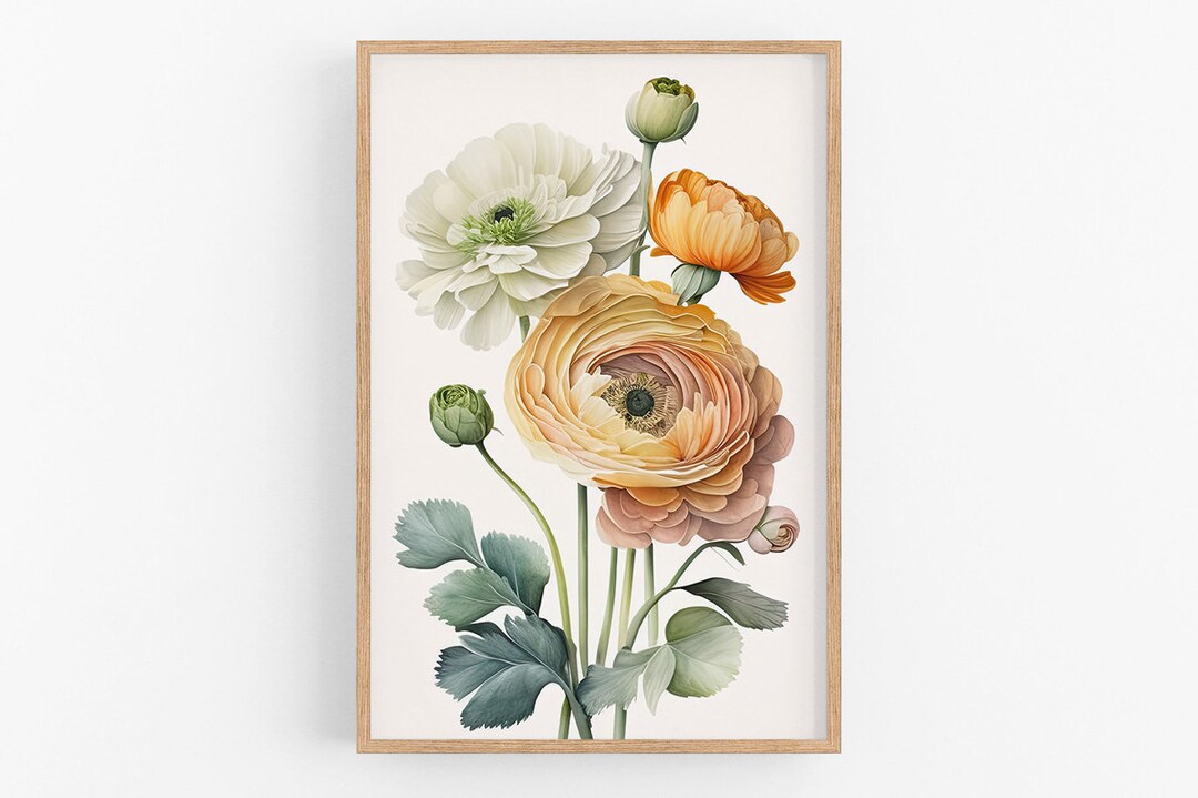 Ranunculus Flower Print Wall Art No.59| Ranunculus Art Print | Water ...