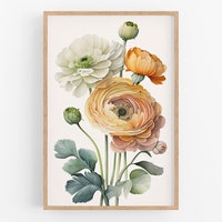 Ranunculus - Etsy