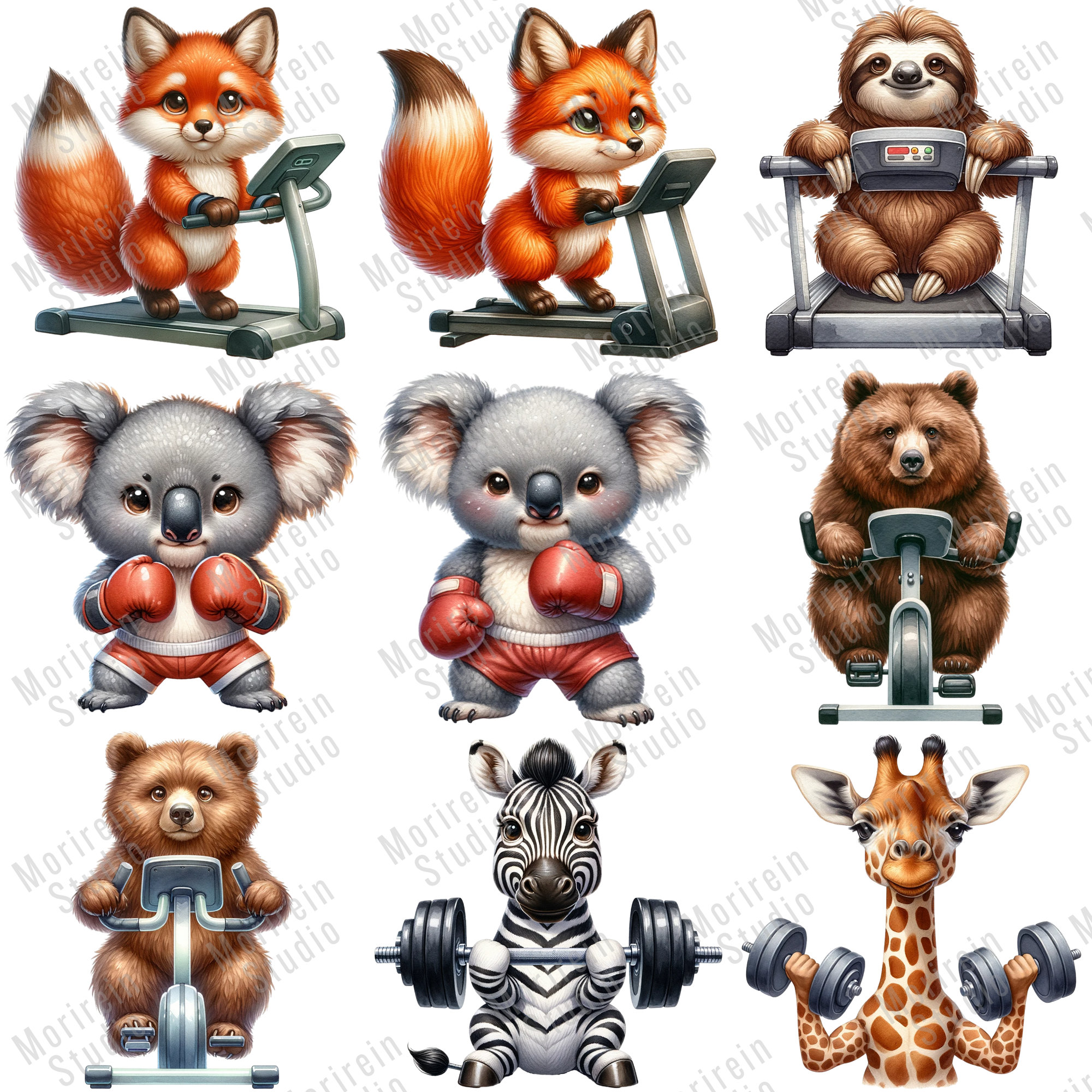 Animals Workout Clipart 38 PNG Watercolor Animals Workout PNG Funny ...