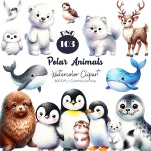 Cute Polar Animals Clipart 103 PNG Watercolor Arctic Animal Antarctic ...